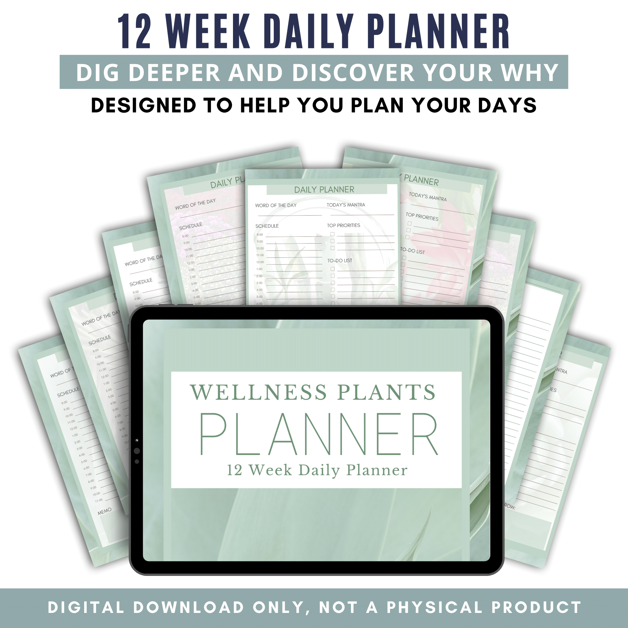 12 Week Daily Planner - Wellness Plants - Green Background – BittySpire